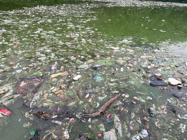 AI-Integrated Marine Robotic Boat Showcased for Waste Collection ...